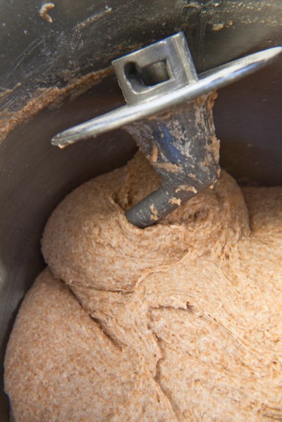 Reasons to love Red Fife – Mado Food