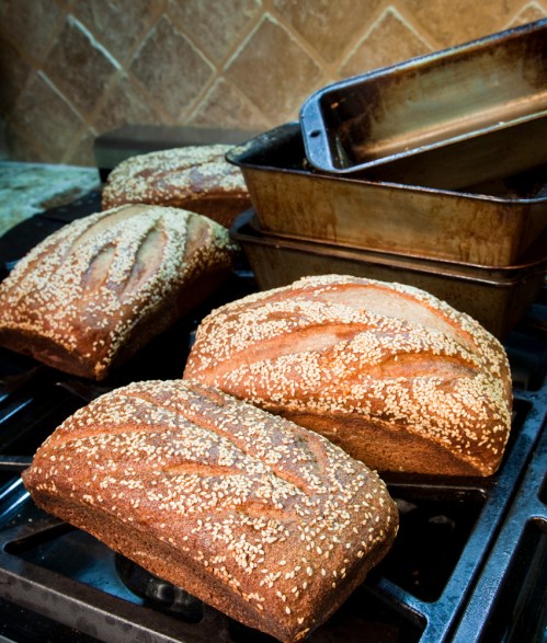 Reasons to love Red Fife – Mado Food