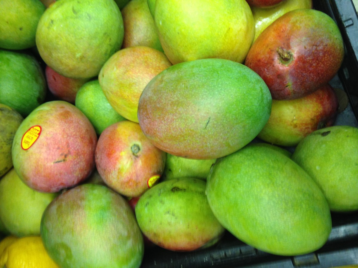 My mango mania – Mado Food