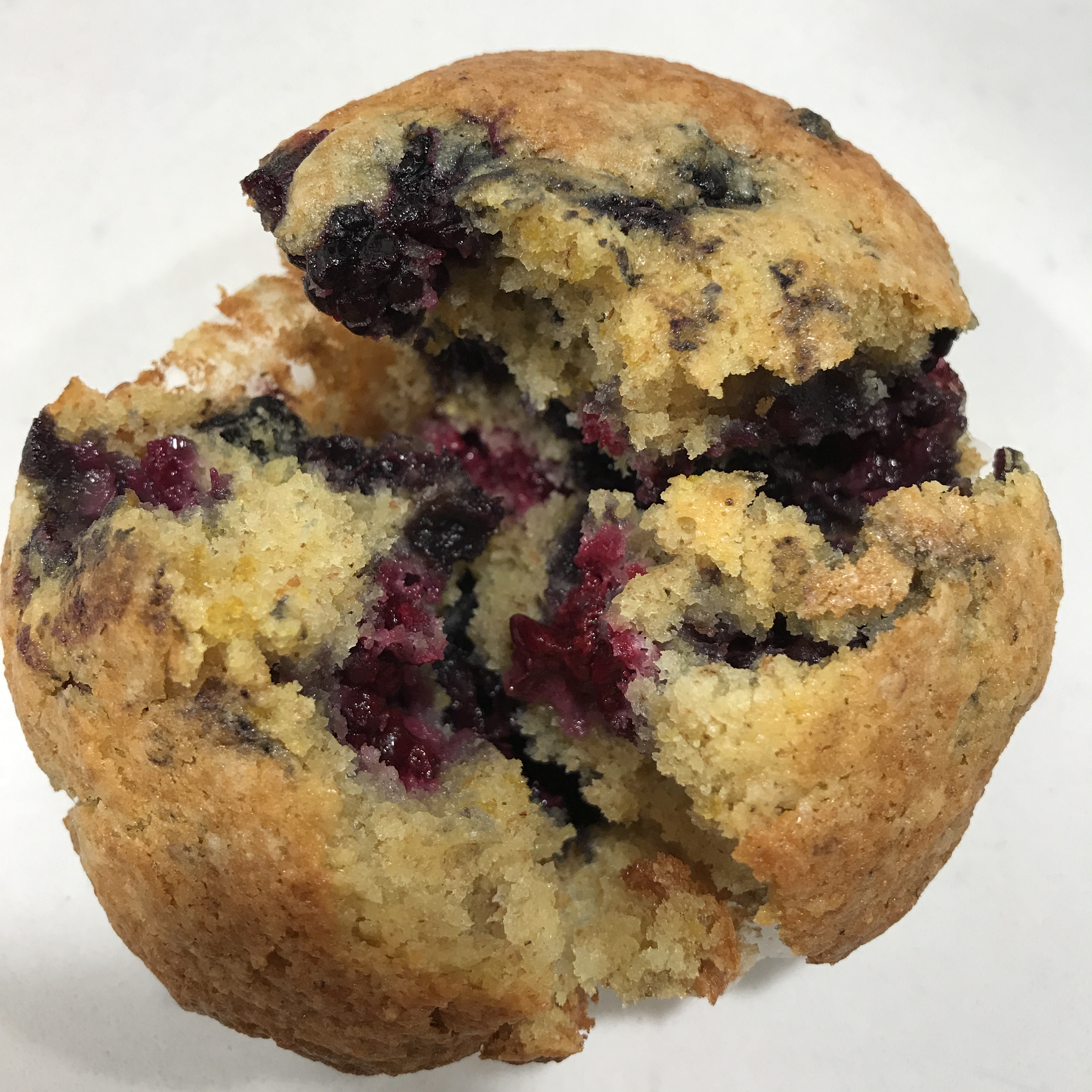Sourdough Blackberry Lemon Muffins – Mado Food