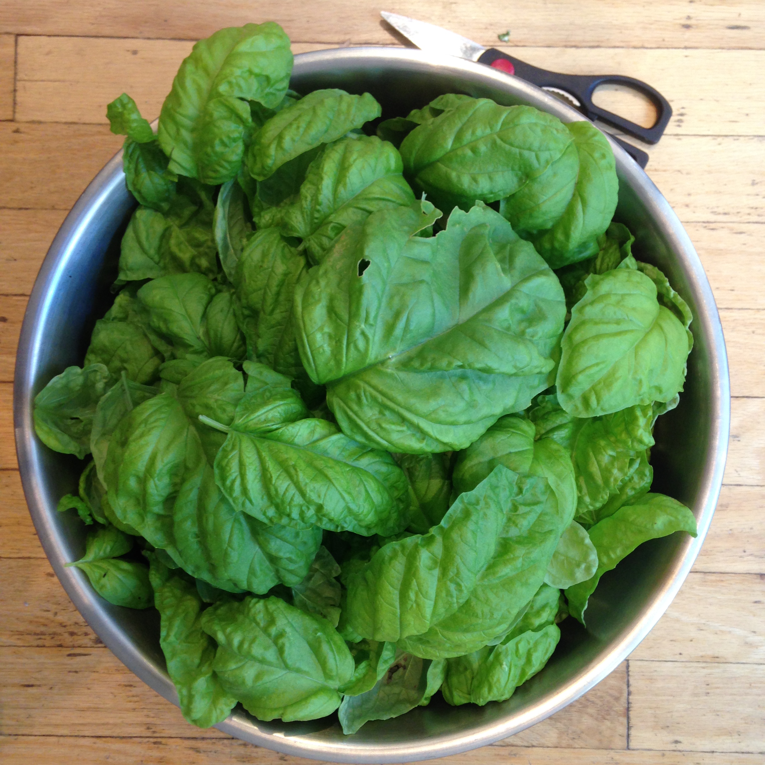 Savoury Beet Tartlets – Mado Food